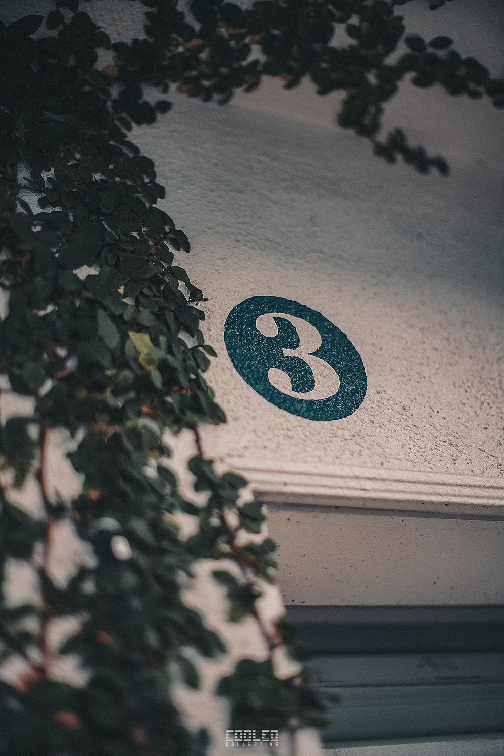 Rod Chong's 935 at Race Service | Cooled.Collective